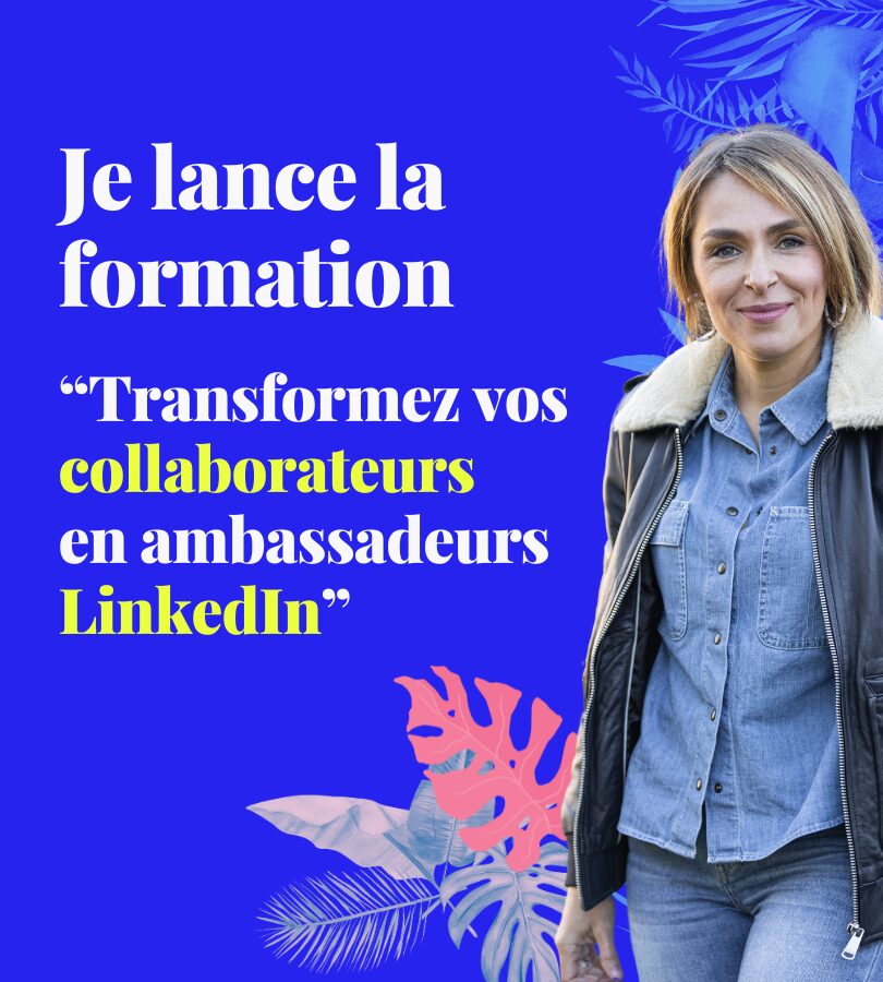 Formation LinkedIn e-learning Entreprise | Emilie Houdou